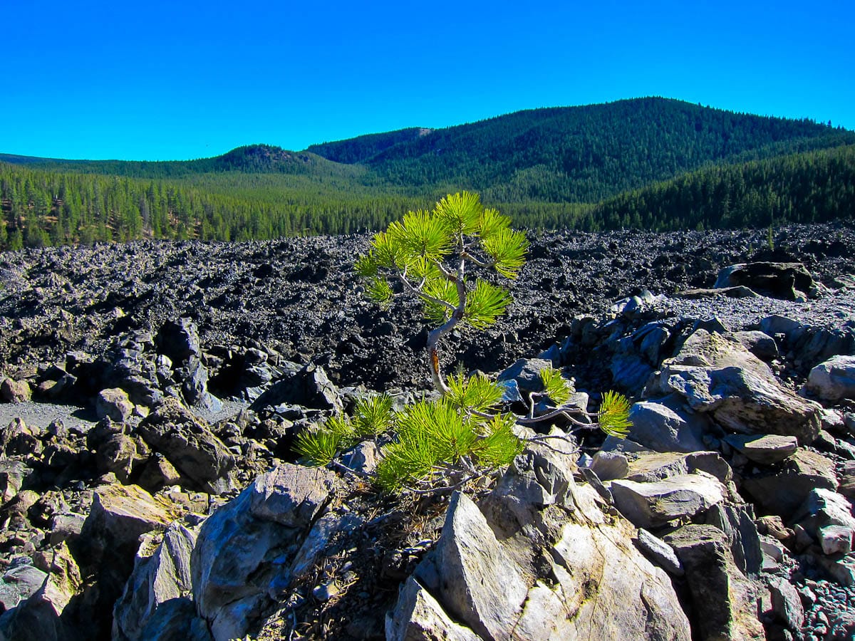 Bend, Oregon & Newberry National Volcanic Monument - Trek With Us